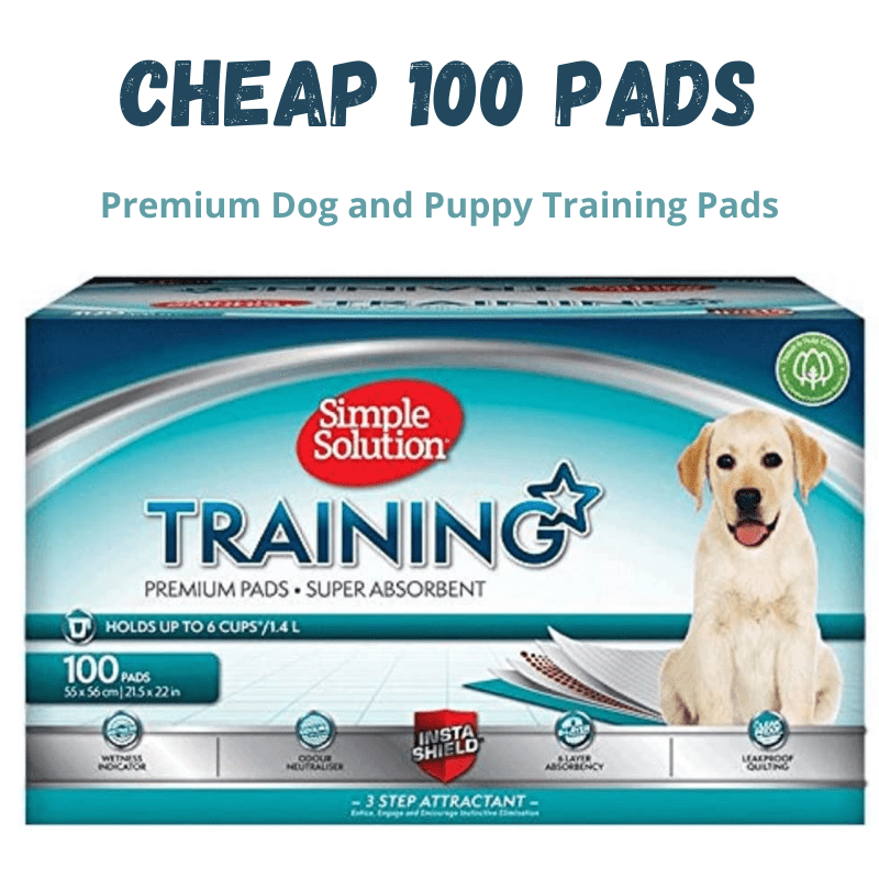 How Do You Train A Puppy To Pee And Poop On The Pad