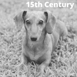 LEARN - History Of The Dachshund Breed - Dog Friendly Scene