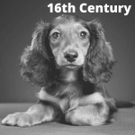 LEARN - History Of The Dachshund Breed - Dog Friendly Scene