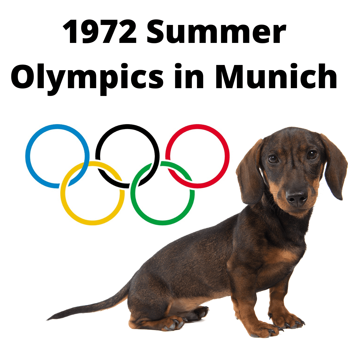 LEARN - History Of The Dachshund Breed - Dog Friendly Scene