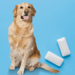 What Happens If Dogs Eat Gum