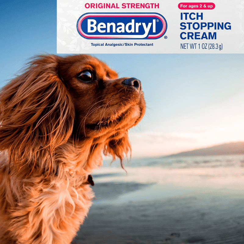 Can U Put Anti Itch Cream On A Dog