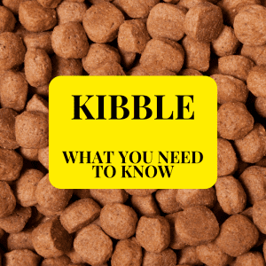 The Pros And Cons Of Kibble Dog Food (Good And Bad Ingredients) - Dog ...