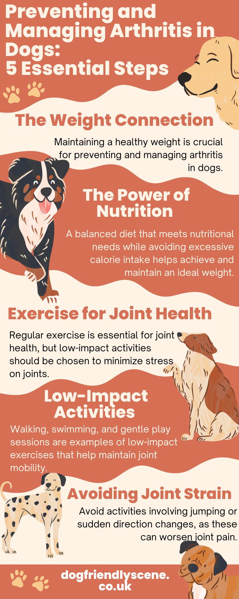 The Top 5 Dog Breeds Most Prone to Arthritis - Dog Friendly Scene